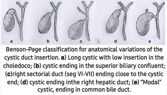 General surgery - MEDizzy