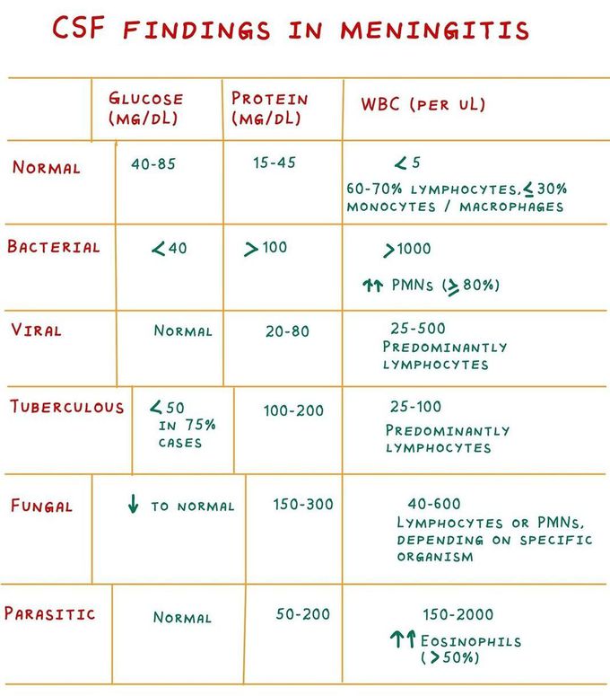 CSF Findings - MEDizzy