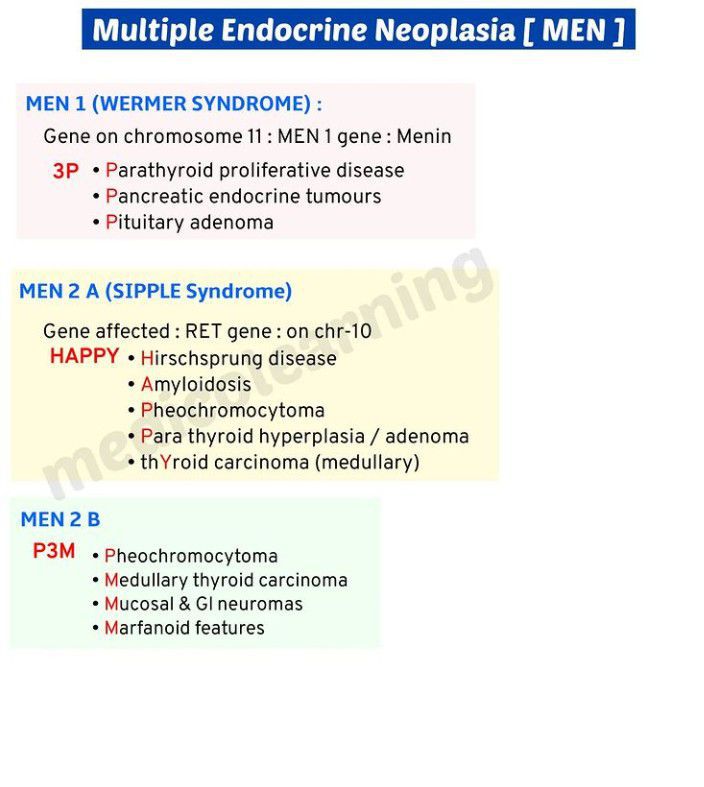 Multiple Endocrine Neoplasia - MEDizzy