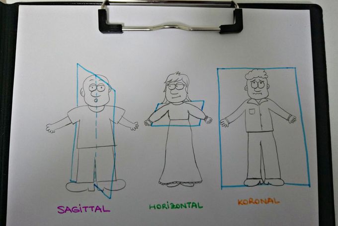 ANATOMİCAL POSİTİONS My draw - MEDizzy