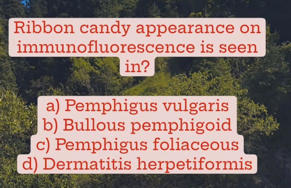 Identify the Appearance - MEDizzy