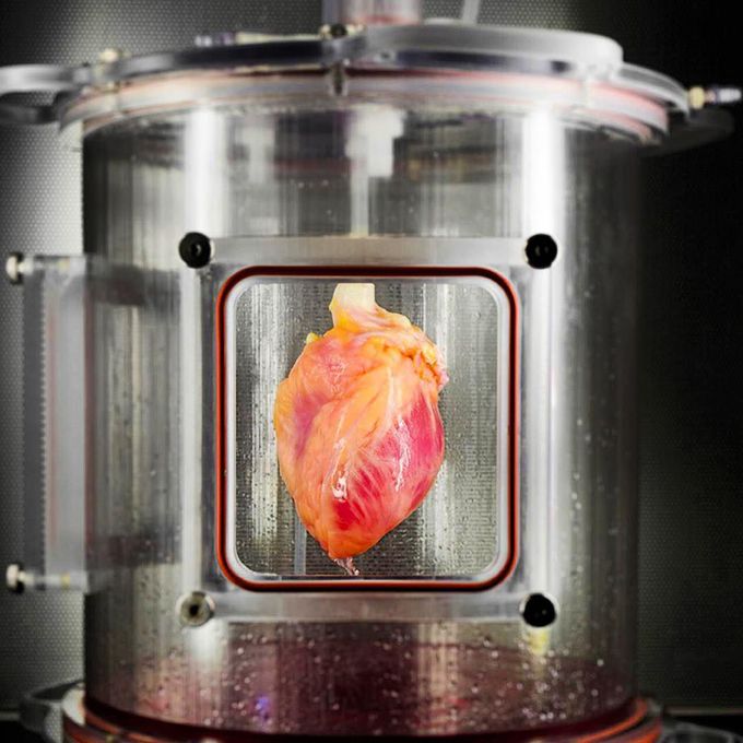 Heart in a box; a few steps closer toward the creation of - MEDizzy