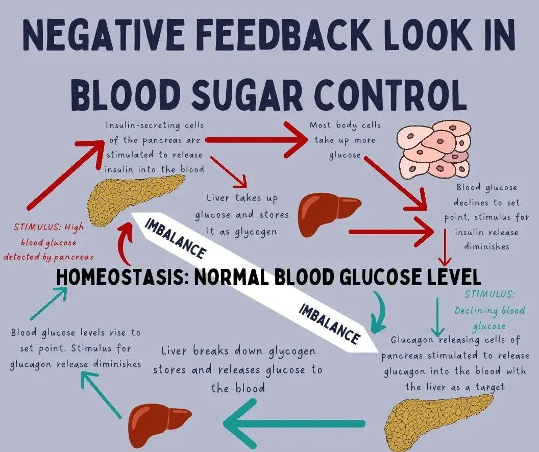 Glucose Control - MEDizzy
