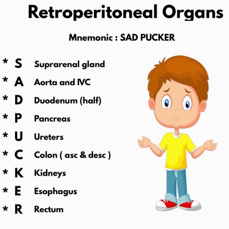 intraperitoneal organs mnemonic