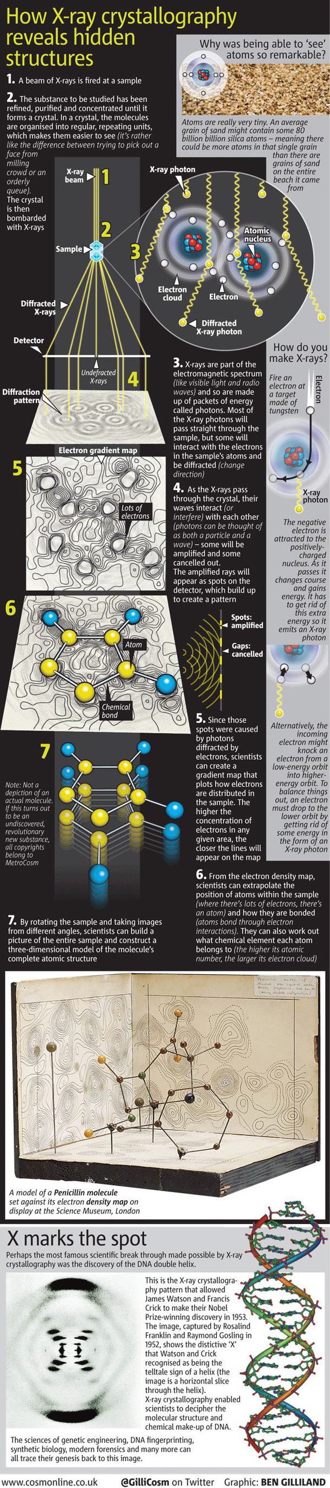 X ray diffraction ? Reason behind the structure of DNA - MEDizzy