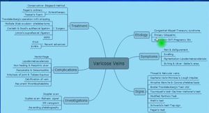 Varicose vein mind mapping - MEDizzy