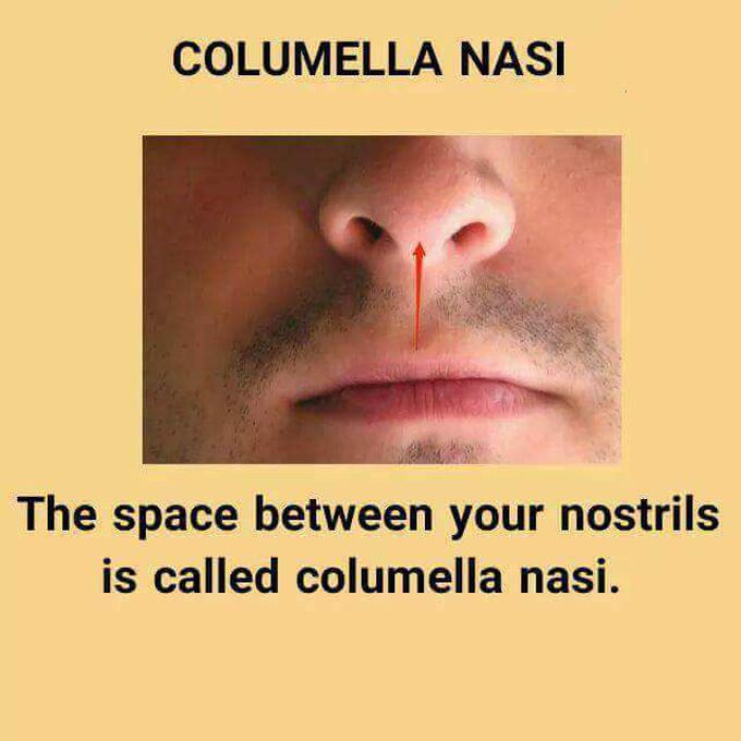 Post number 1367655 - MEDizzy