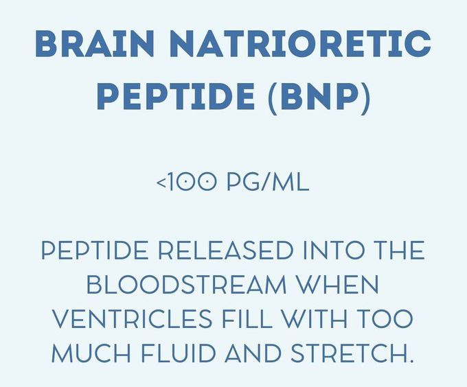 Brain Natriuretic Peptide - MEDizzy