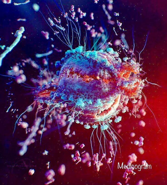 HIV ( Human immunodeficiency virus) - MEDizzy