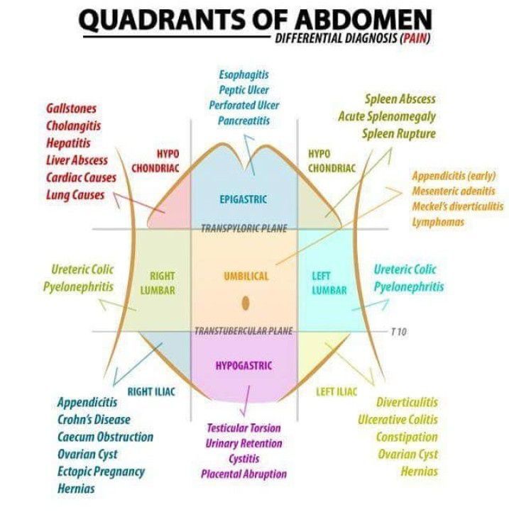 General surgery - MEDizzy