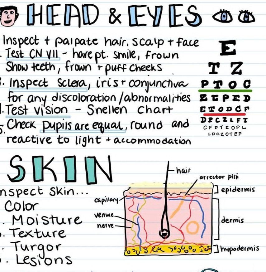 Head and Eyes Examination - MEDizzy