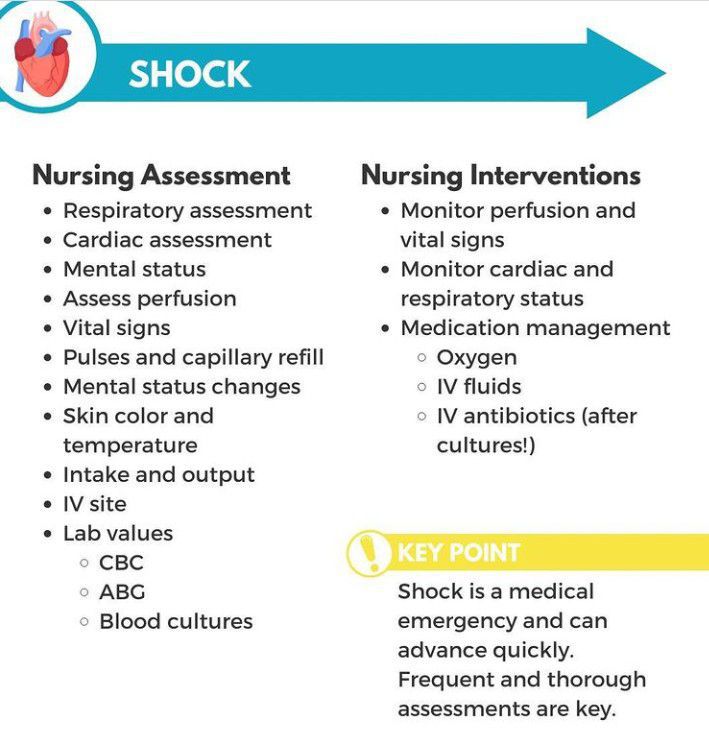 Shock Nursing Interventions MEDizzy