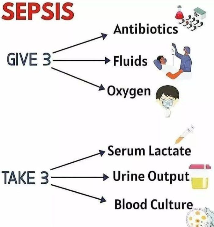 Sepsis - MEDizzy