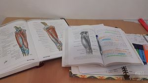 Lower limb exam,tommorow - MEDizzy