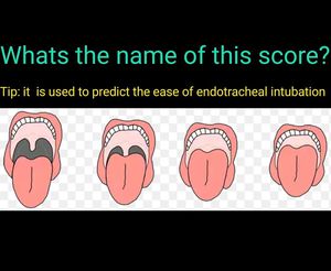 Do you know the answer? - MEDizzy