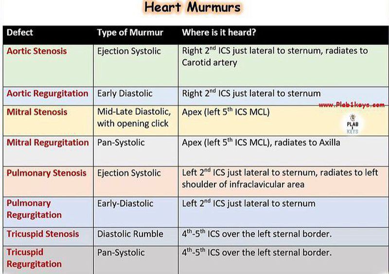 murmur types