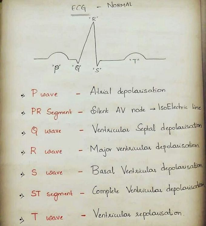 ECG summary - MEDizzy