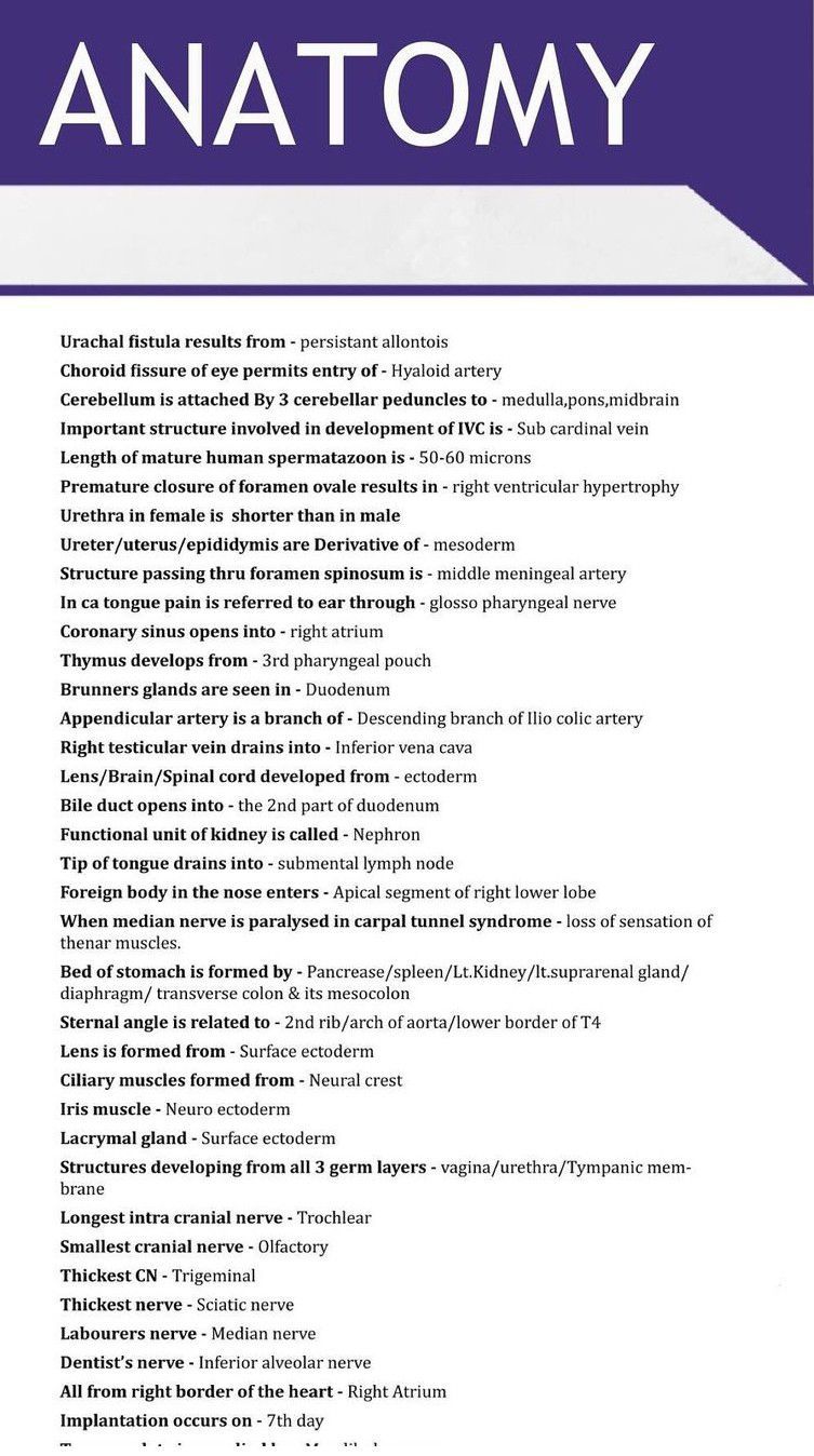 Anatomy VIII - MEDizzy