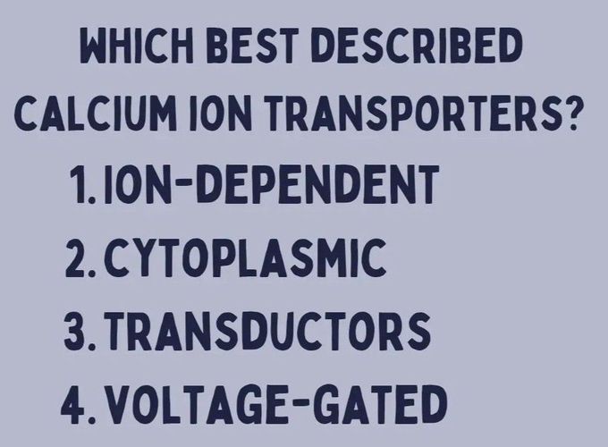 Calcium Ion Transporter - MEDizzy