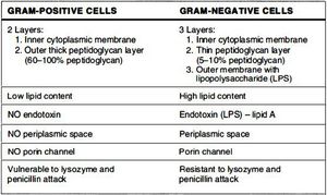 Differences between Gram-Positive and Gram-Negative - MEDizzy
