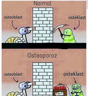 Normal vs abnormal - MEDizzy