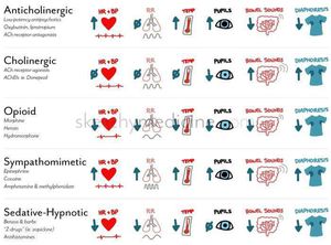 medical mnemonics - MEDizzy