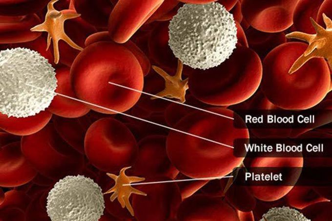 Types of blood cancer - MEDizzy