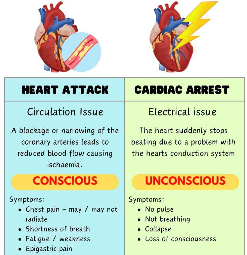 Heart Attack Vs Cardiac Arrest - MEDizzy