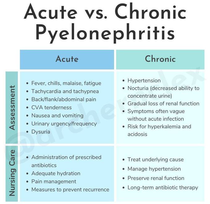 Acute Vs Chronic Pyelonephritis MEDizzy