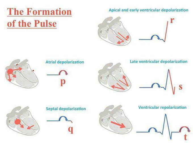 Post number 1361640 - MEDizzy