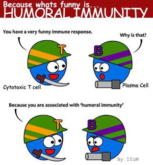 Humoral immunity - MEDizzy