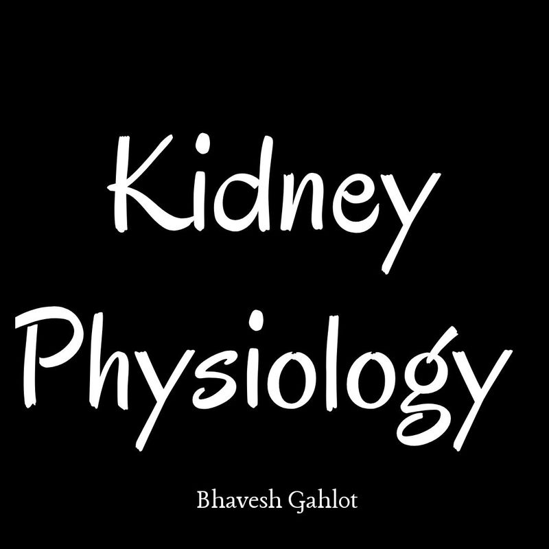 Kidney Physiology - MEDizzy