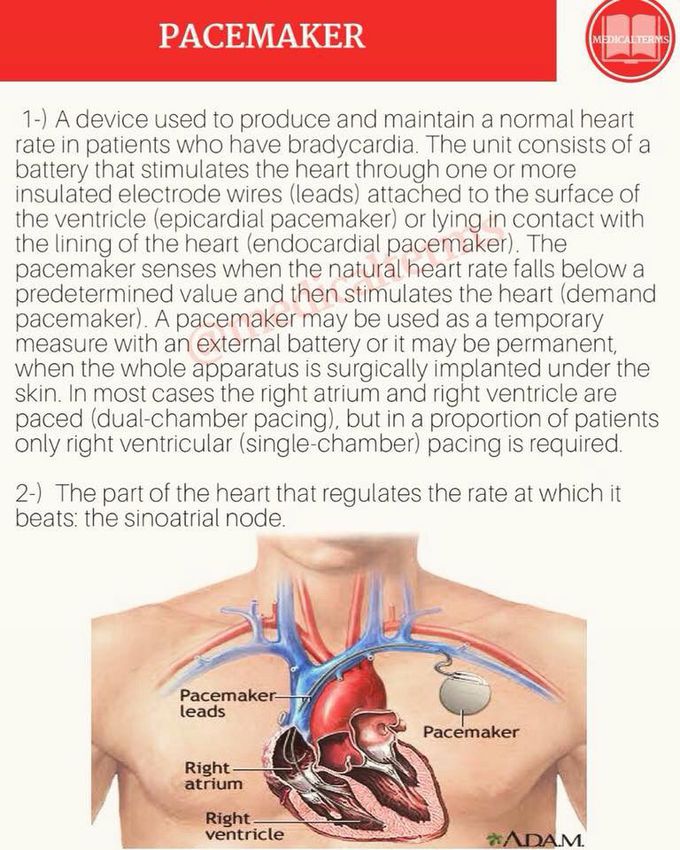 cardiology - MEDizzy