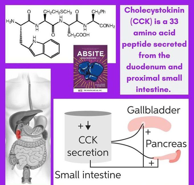 General surgery - MEDizzy