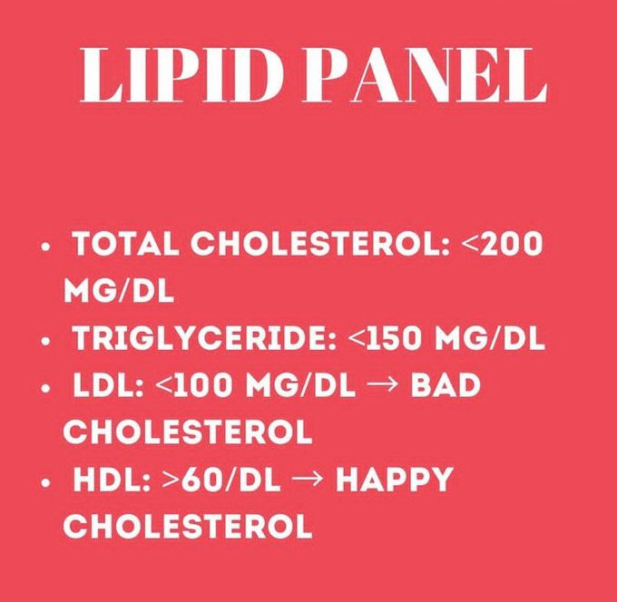 Lipid Profile - MEDizzy