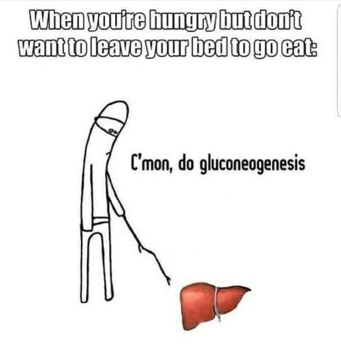 Medical meme - MEDizzy