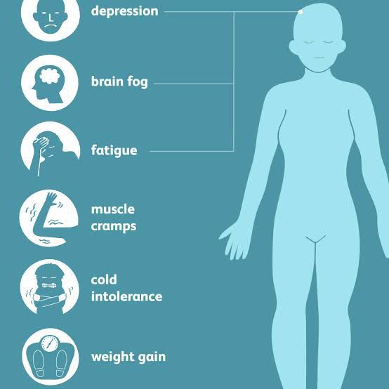 These are the symptoms of thyroid - MEDizzy