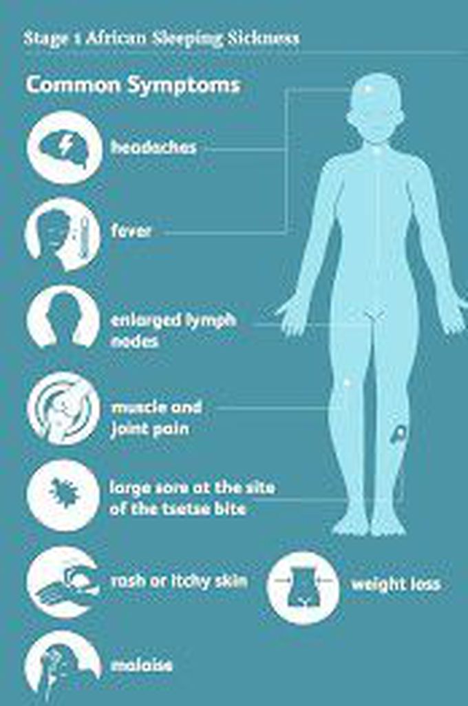 Symptoms Of Trypanosomiasis MEDizzy