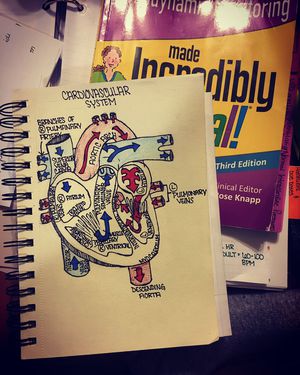 Hemodynamic Monitoring - MEDizzy