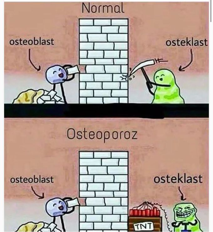 Normal vs abnormal - MEDizzy