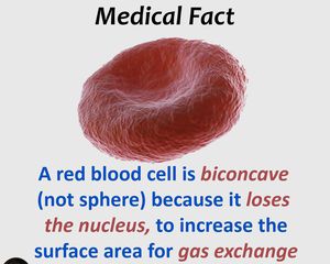 DO U KNOW..? - MEDizzy