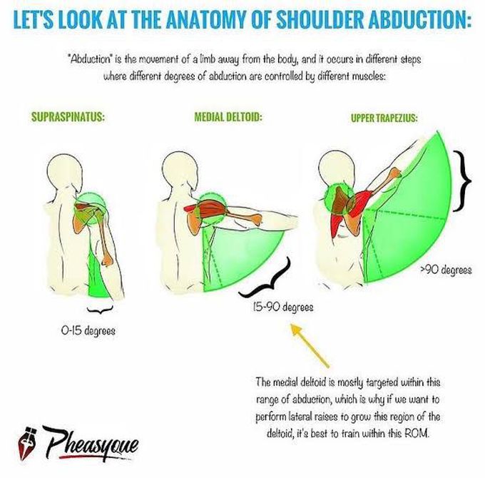 Anatomy Of Shoulder Abduction MEDizzy