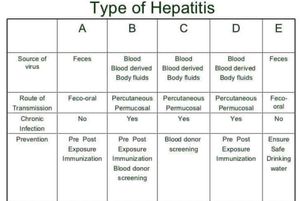 Types of hepatitis - MEDizzy
