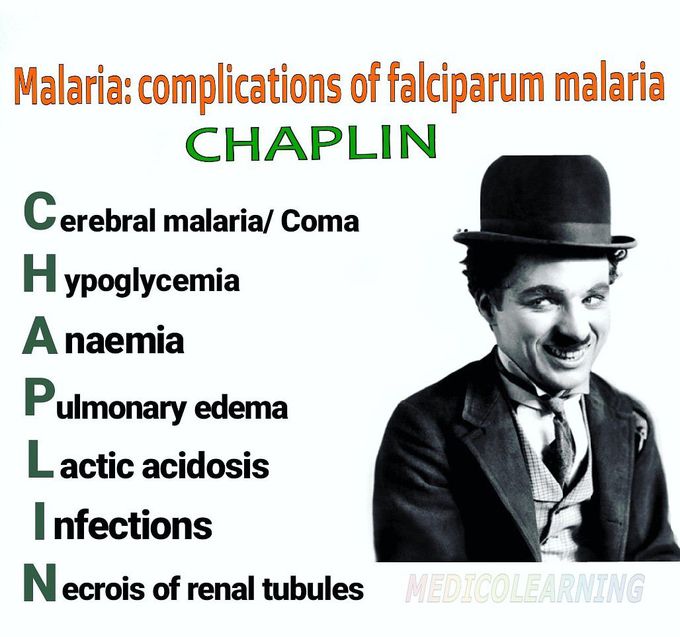 Malaria - MEDizzy