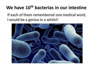 DO YOU KNOW.? - MEDizzy