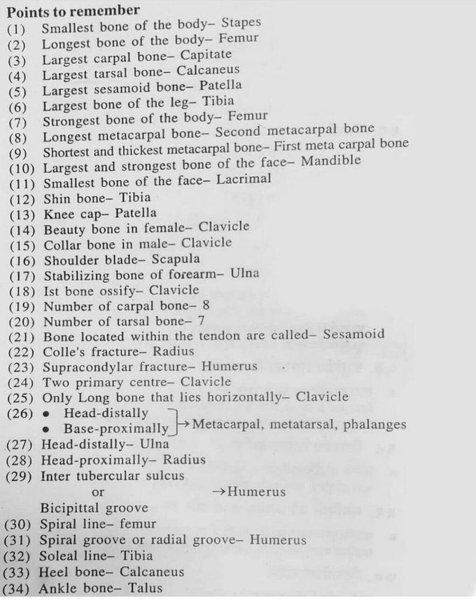 Important Anatomy Points - MEDizzy