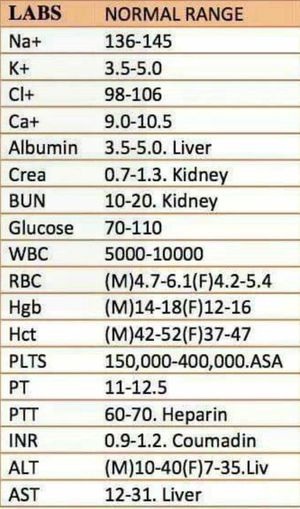 Very Important - MEDizzy