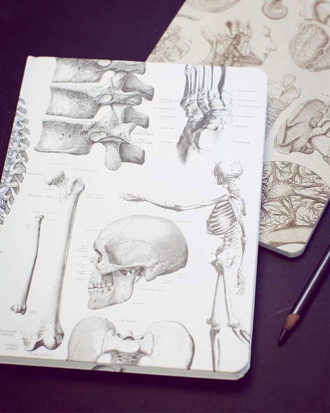 These notebooks are perfect for making notes in and outside - MEDizzy