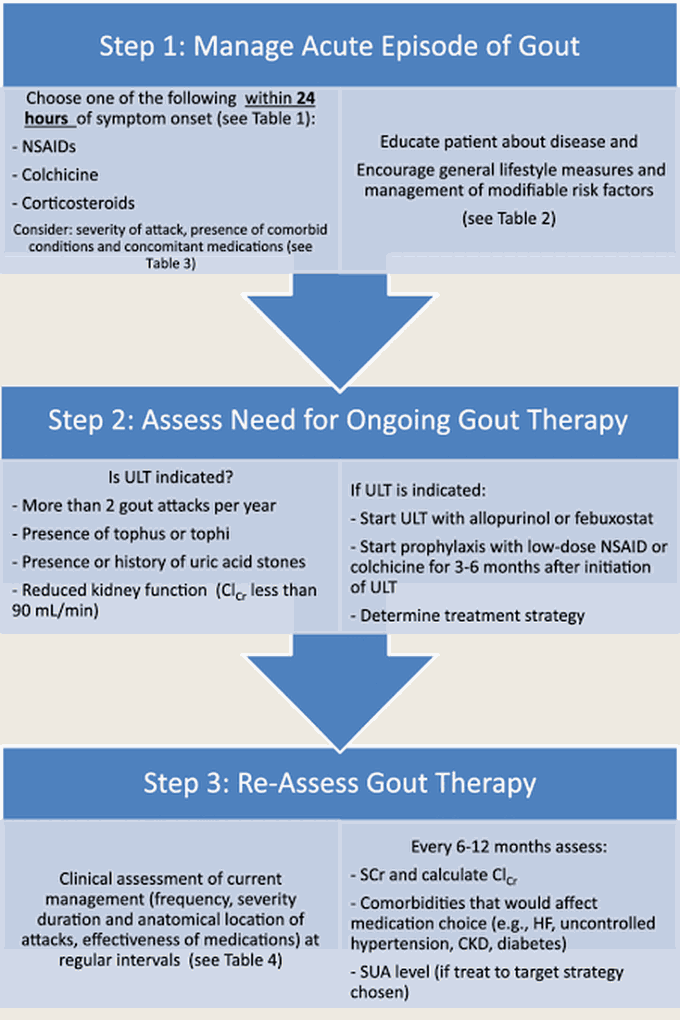 Management of Gout - MEDizzy