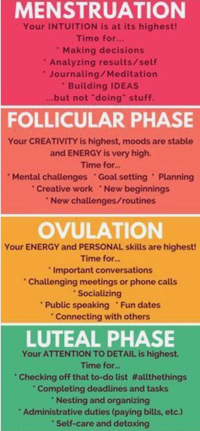 Menstrual cycle - MEDizzy